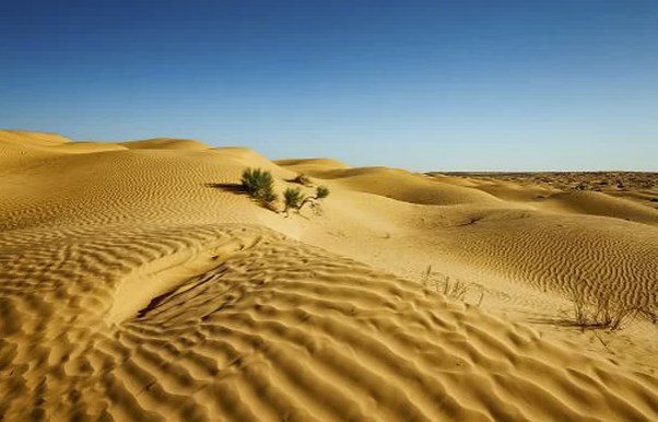 4 coisas que você não sabia sobre o Deserto do Saara - Jornal Folha da ...